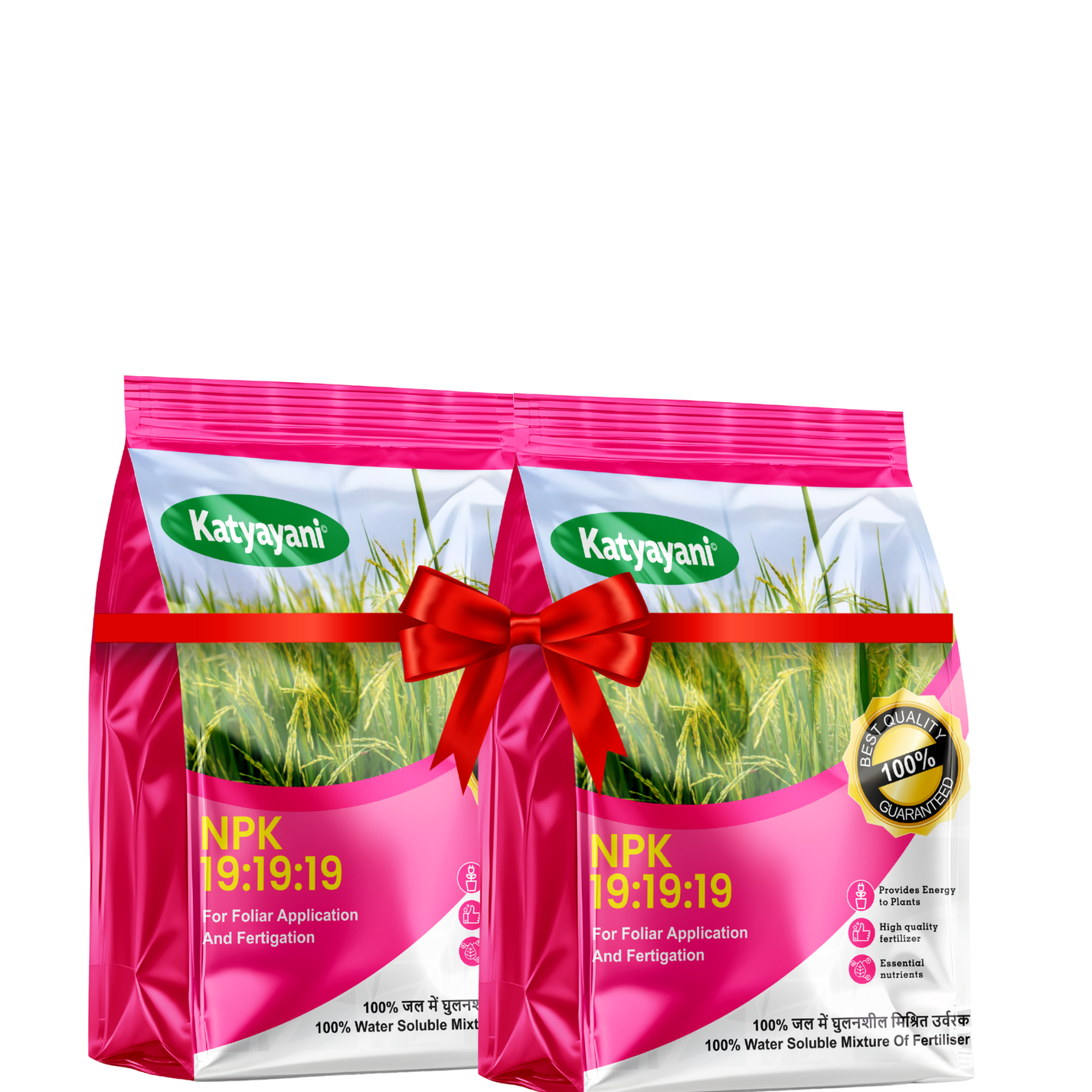 NPK 19-19-19 Water Soluble Fertilizer for Plants – Fast Growth & All-i